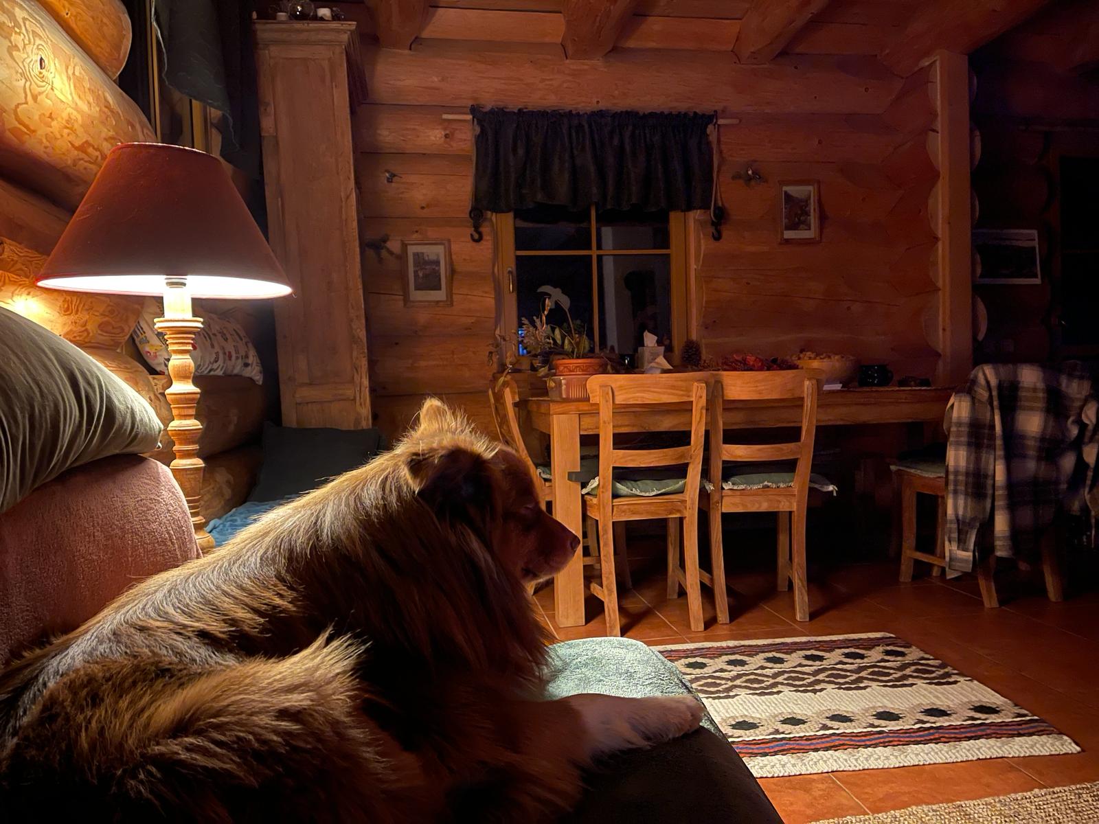 Galerie: Herec Štěpán Benoni nás exkluzivně pozval na návštěvu svého ...