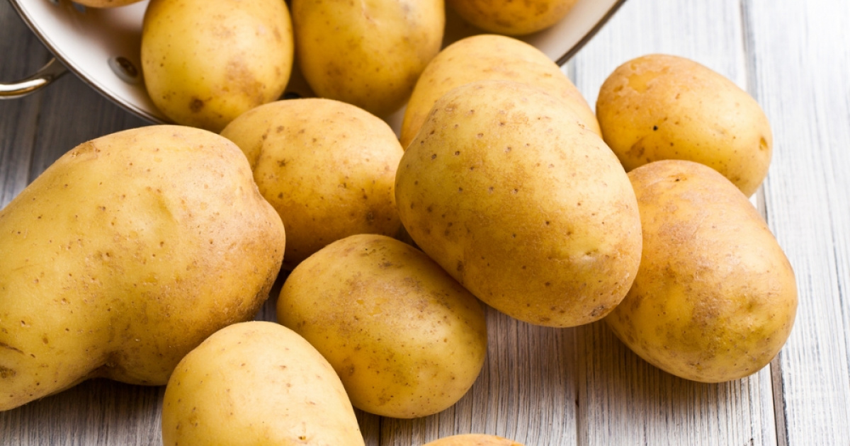 Zázračná brambora