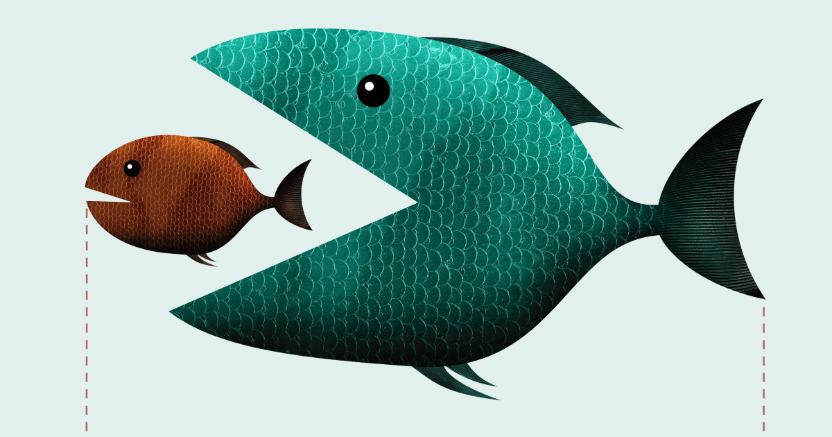 Kvíz: Poznáte druhy ryb podle obrázku? Zjistěte, jak dobře se vyznáte ...